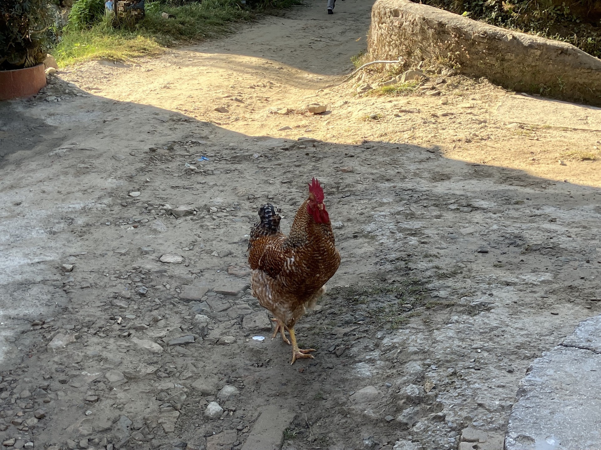 ボダナート──ネパールお気楽旅行（8）: 海神日和